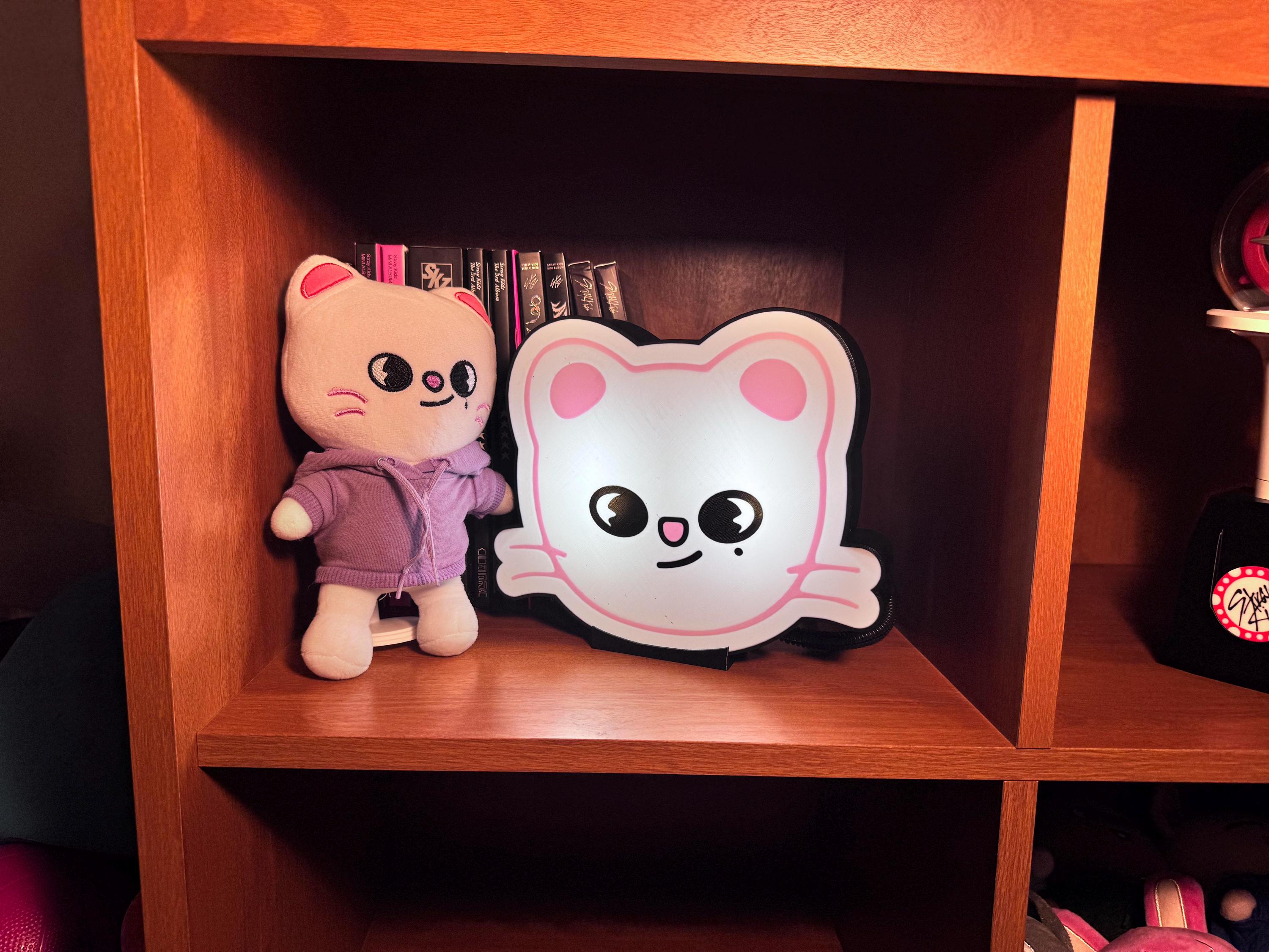 Stray Kids SKZOO Lightbox, SKZ Member Lamp, Nightlight, Light - Etsy