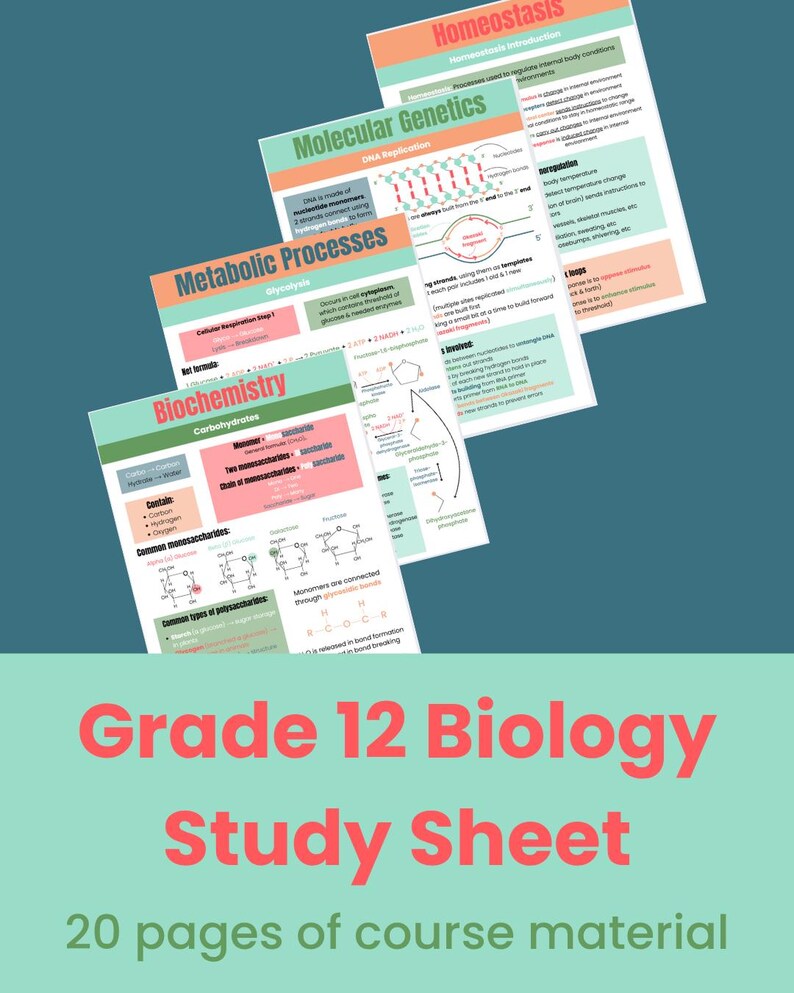 Grade 12 Biology Study Sheet - Etsy