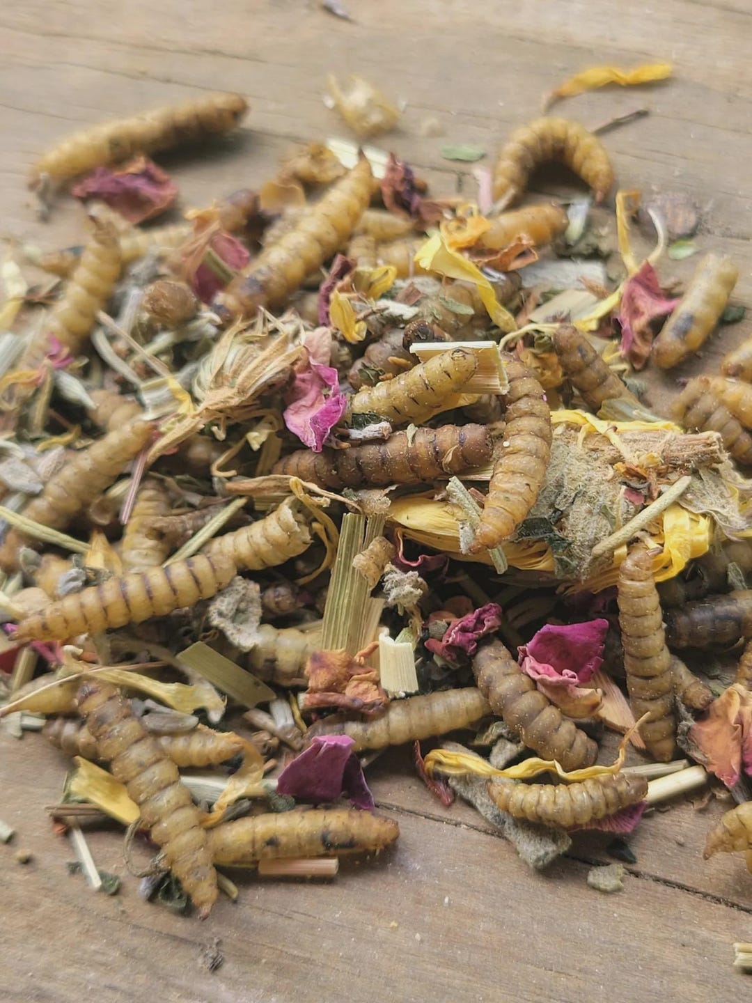 Herbal Scratch for a Great Chicken Treat or Feed Addition - Etsy