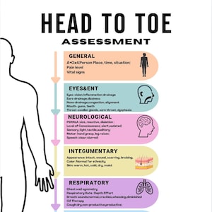 Head to Toe Assessment Reference Card - Etsy
