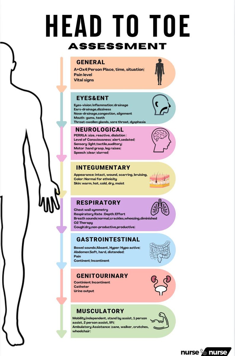 Head to Toe Assessment Reference Card - Etsy