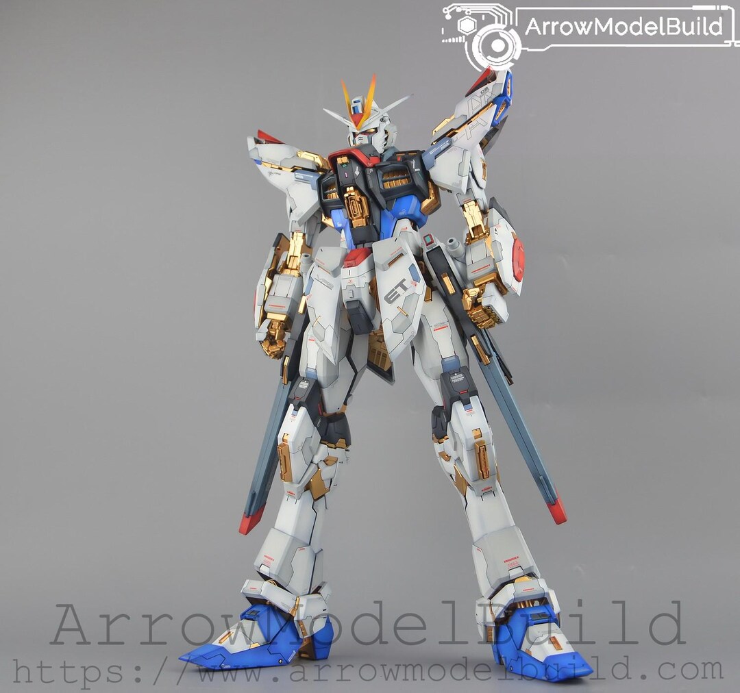 Aeromodelbuild Strike Freedom Gundam Built & Painted PG 1/60 Resin ...