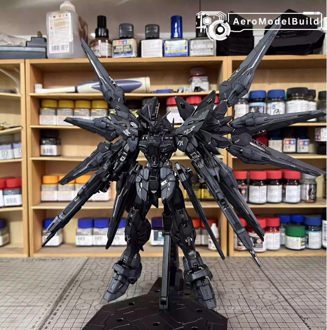 Aeromodelbuild Strike Freedom Gundam (midnight Dark Ver) Built ...