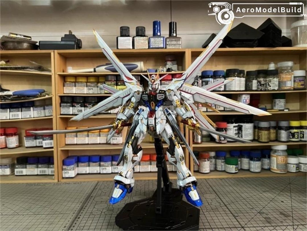 Aeromodelbuild Strike Freedom Gundam (mighty Strike Freedom Custom ...