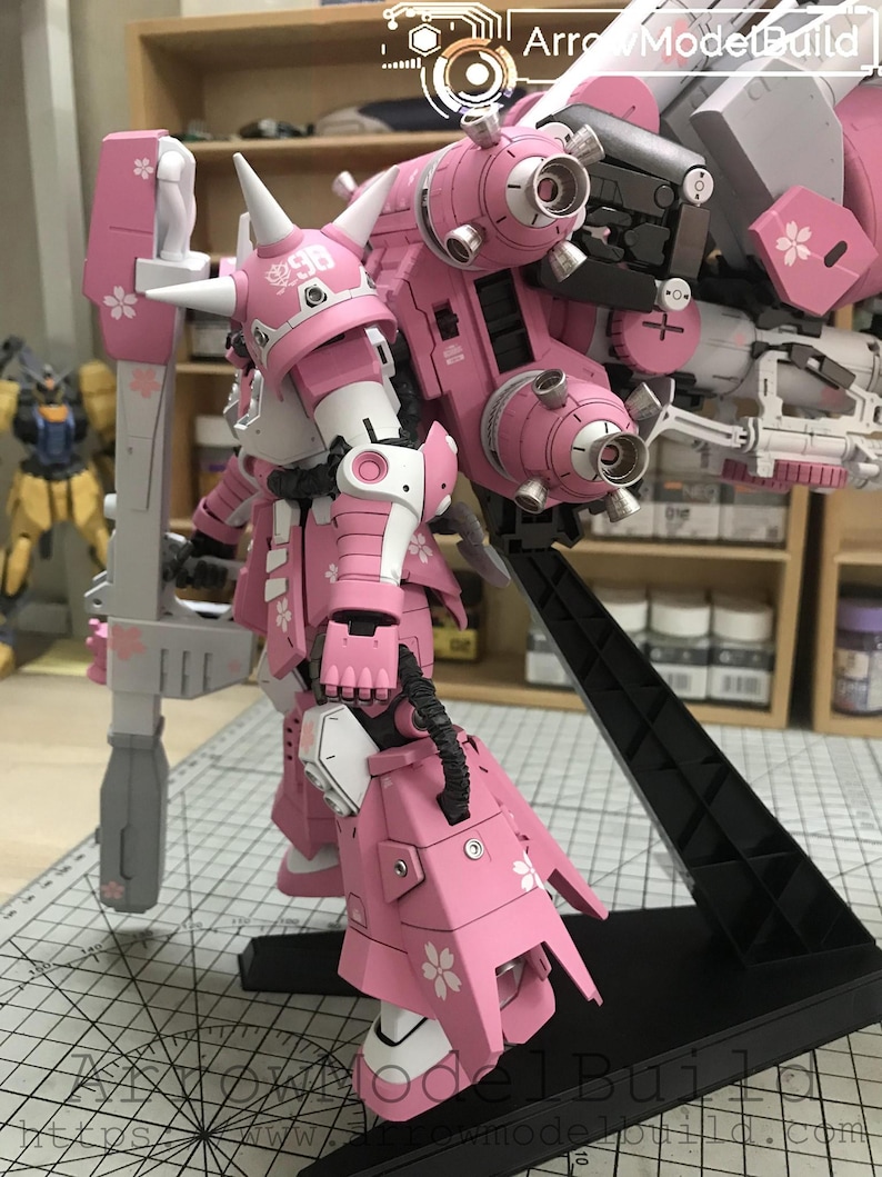 Aeromodelbuild Psycho Zaku (custom Pink) Built & Painted MG 1/100 Model ...