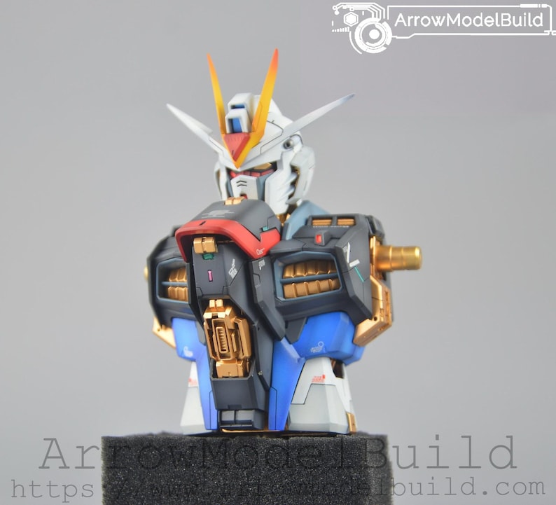 Aeromodelbuild Strike Freedom Gundam Built & Painted PG 1/60 Resin ...