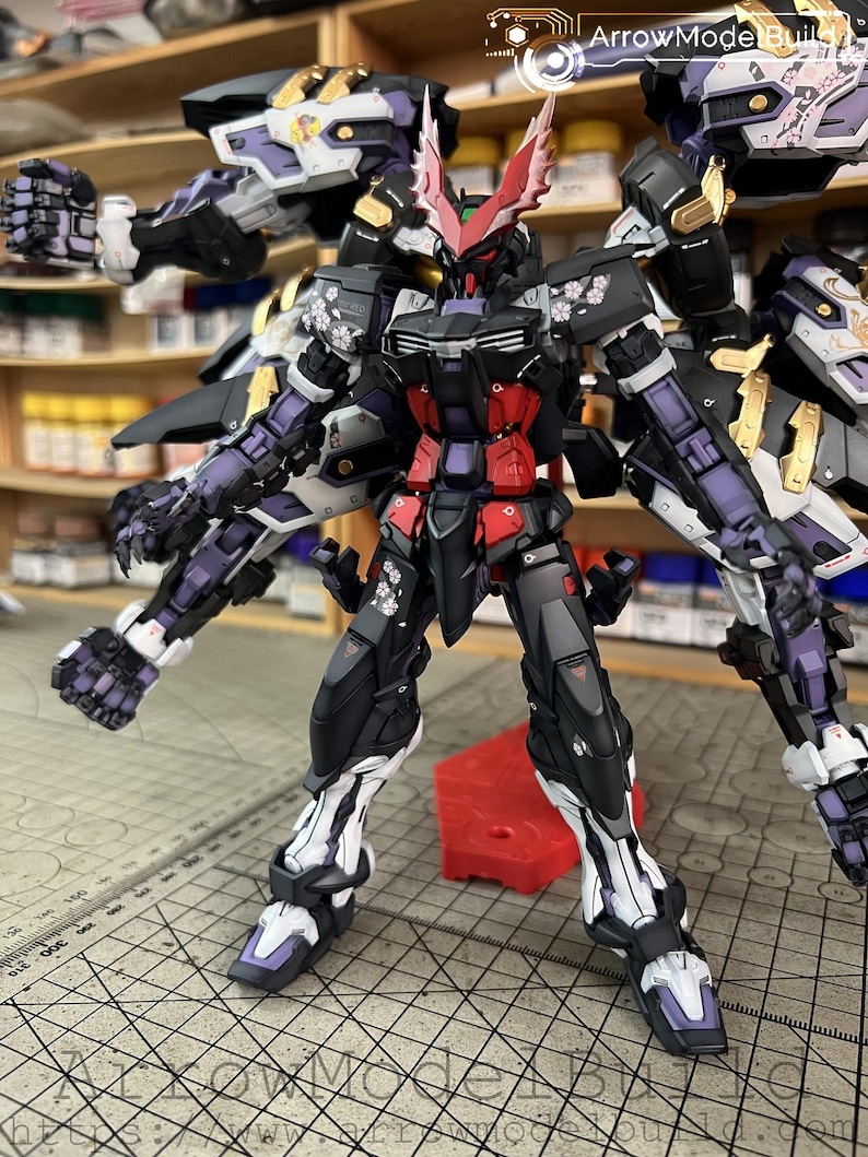 Aeromodelbuild Red Astray Gundam (eight Armed Form) Built & Painted MG ...