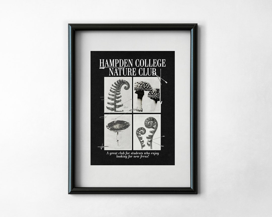 The Secret History Poster Hampden College Dark Academia Decor Art Print ...