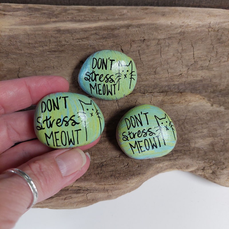Funny Painted Rocks - Etsy