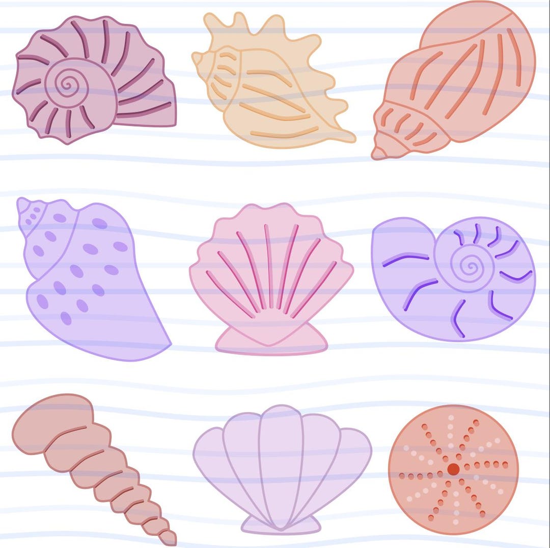 Pastel Seashell Clipart: Pink & Purple Cartoons (PNG, 300 DPI) - Etsy