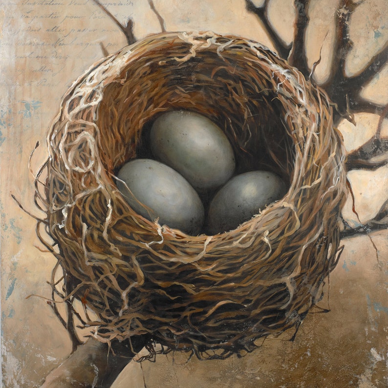 Bird Nest Wall Art Print Birds Nest With Eggs Poster Nature - Etsy