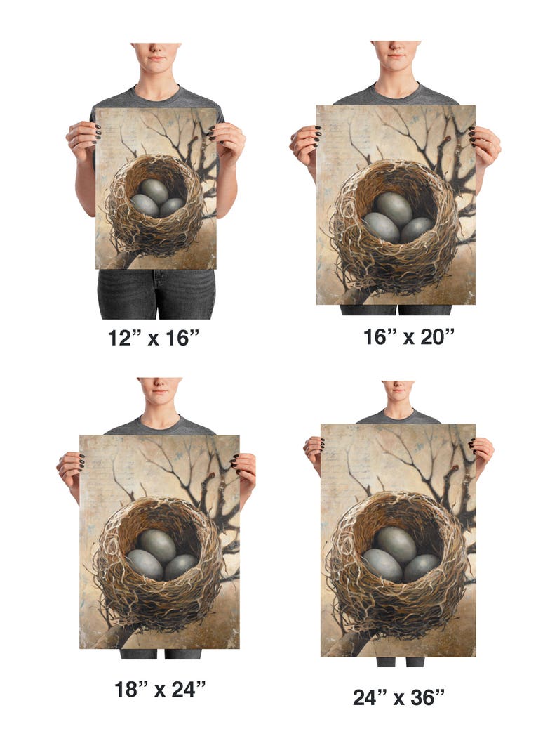 Nest Art Print Ready to Frame Bird's Nest Poster Print - Etsy