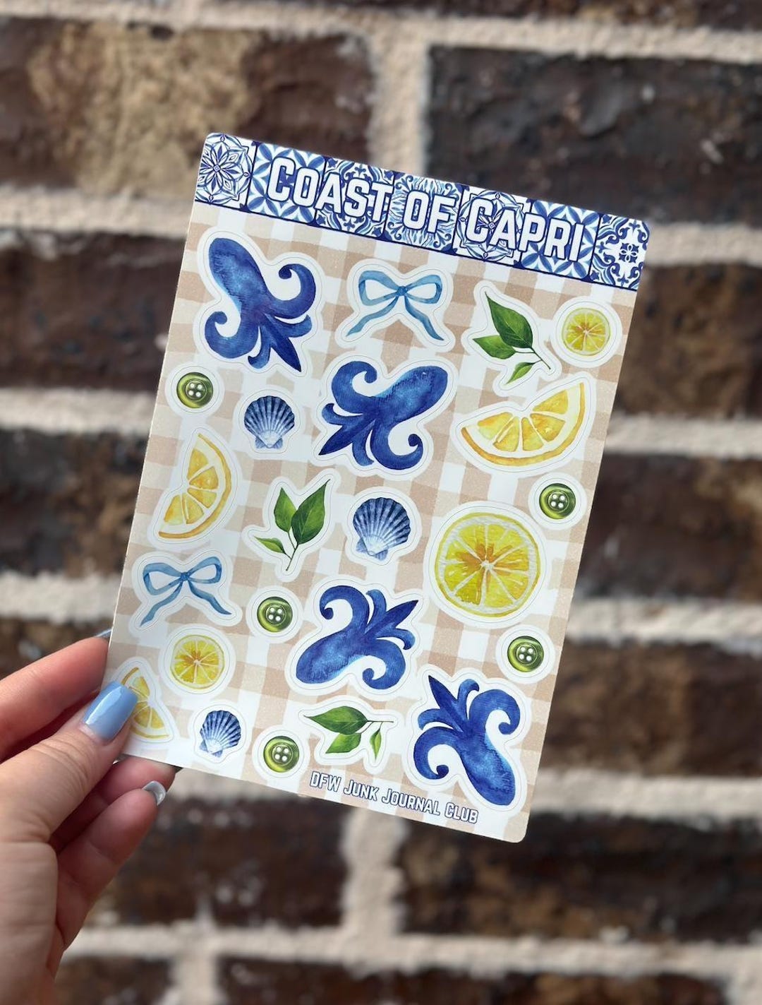 Coast of Capri Sticker Sheet - Etsy