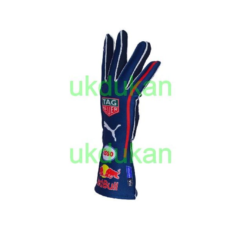 Max Verstappen 2019 F1 Gloves Formula 1 Gloves Sim Racing Gloves - Etsy