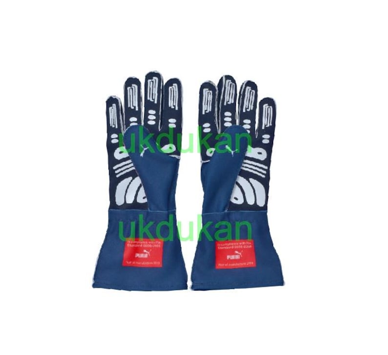 Max Verstappen 2019 F1 Gloves Formula 1 Gloves Sim Racing Gloves - Etsy
