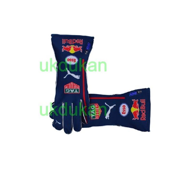 Max Verstappen 2019 F1 Gloves Formula 1 Gloves Sim Racing Gloves - Etsy