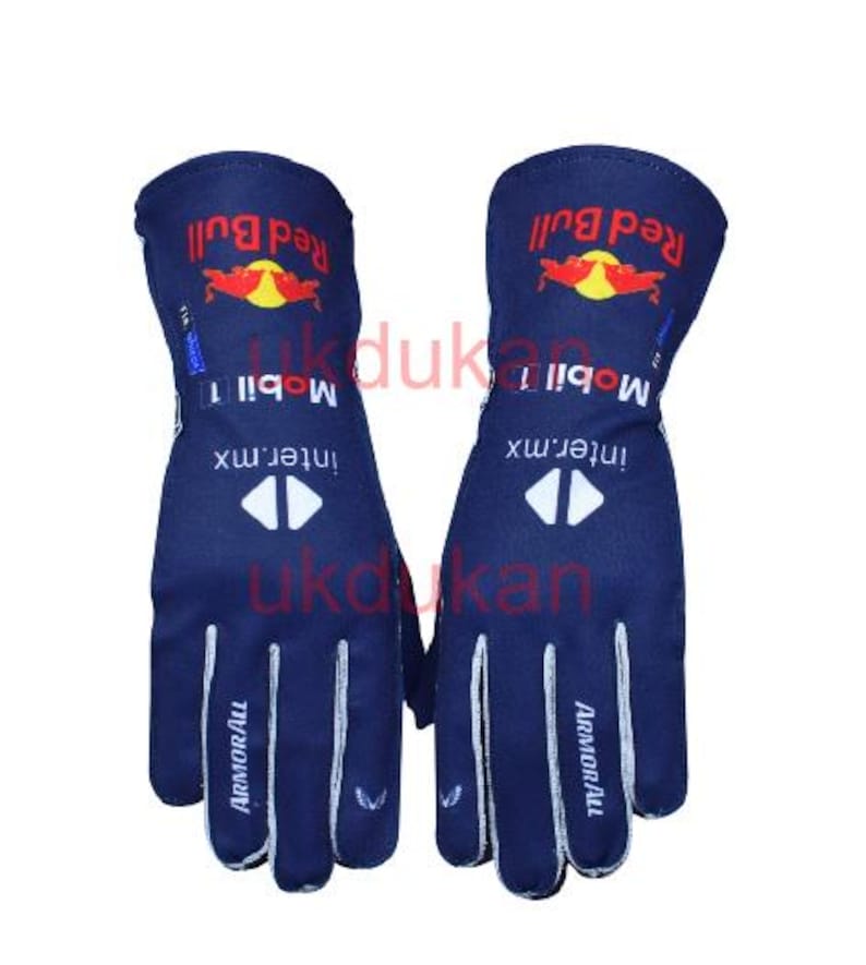 Max Verstappen 2024 F1 Gloves Formula 1 Gloves Sim Racing Gloves - Etsy