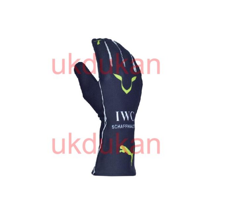 Lewis Hamilton 2022 F1 Gloves Formula 1 Gloves Sim Racing Gloves - Etsy