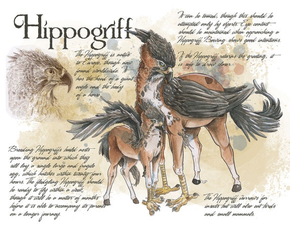 Hippogriff