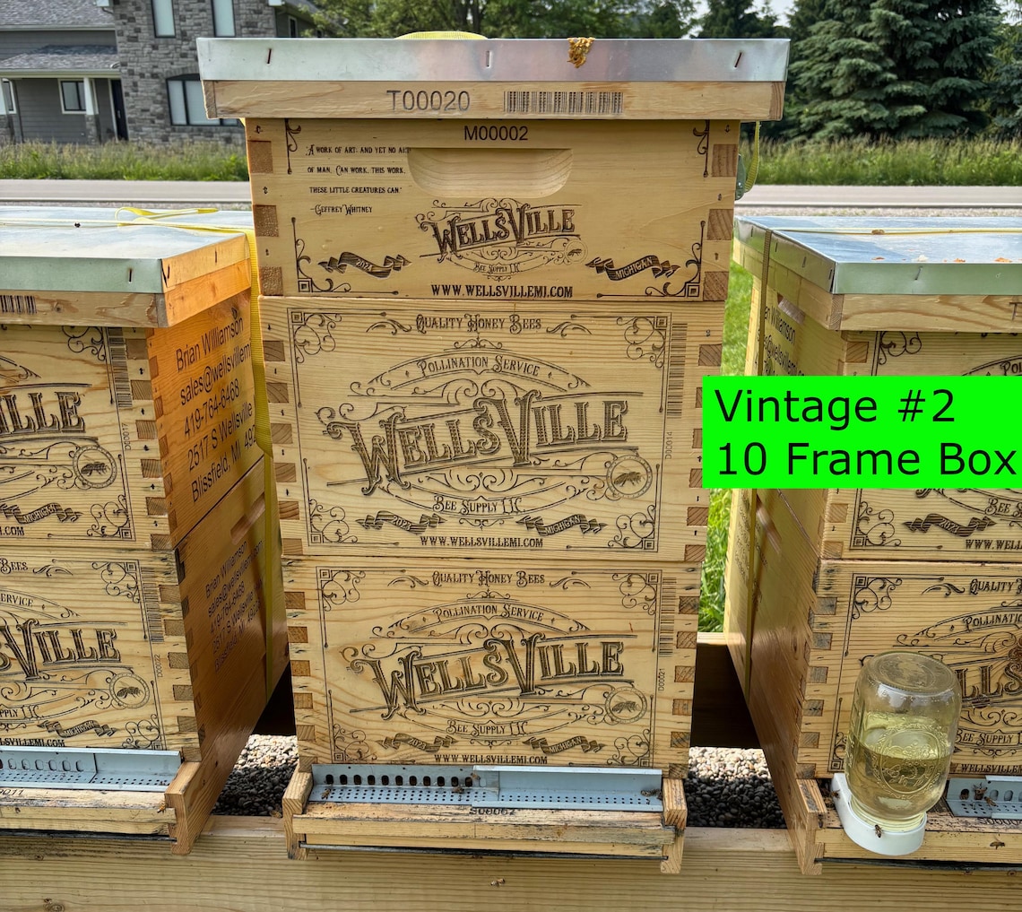 Custom Laser Engraved Bee Hive – Personalized Wooden Hive Box for ...