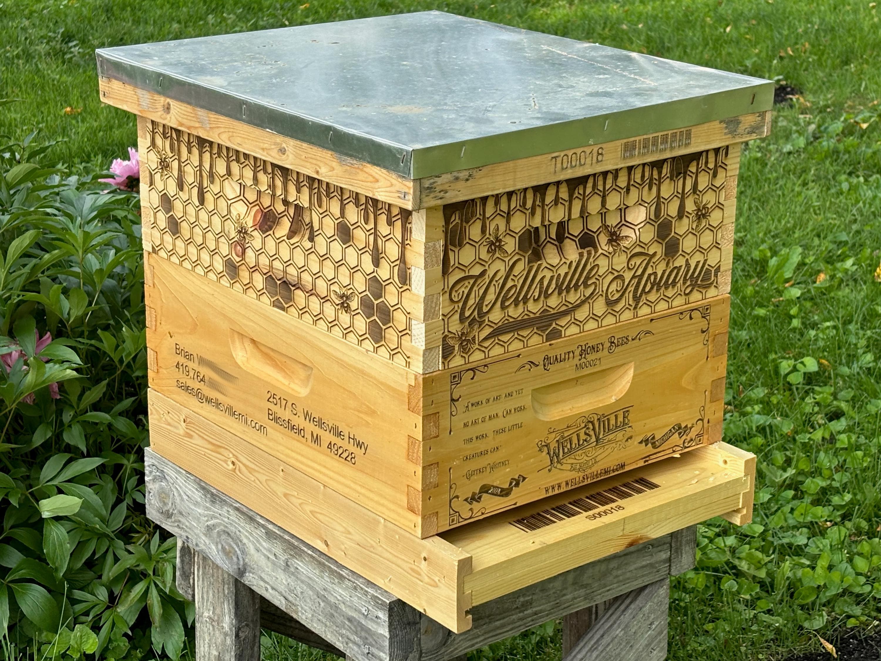 Custom Laser Engraved Bee Hive – Personalized Wooden Hive Box for ...