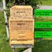 Custom Laser Engraved Bee Hive – Personalized Wooden Hive Box for ...
