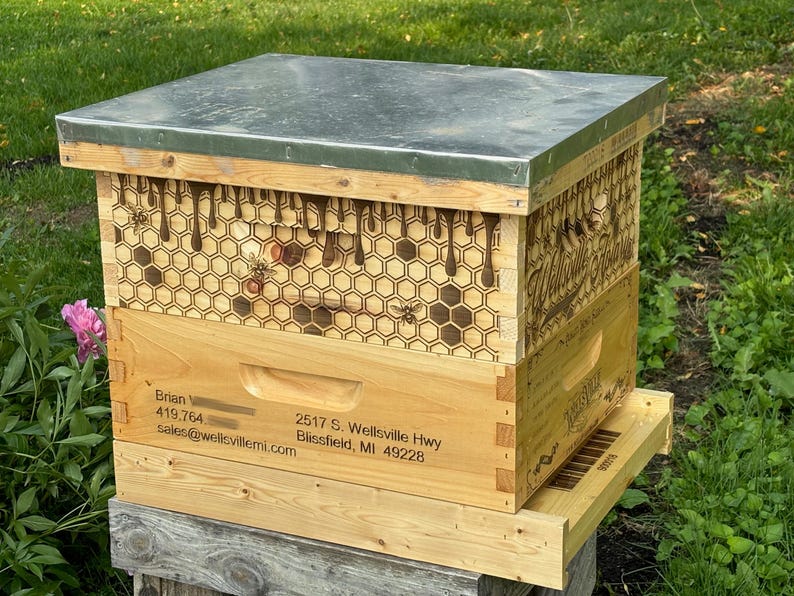 Custom Laser Engraved Bee Hive – Personalized Wooden Hive Box for ...