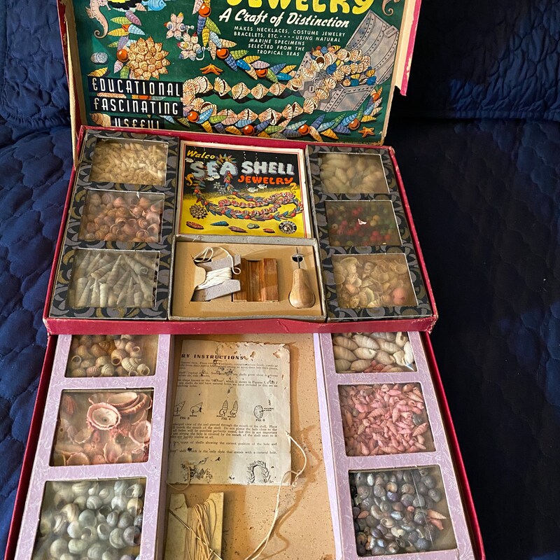 Sea Shell Crafts - Etsy