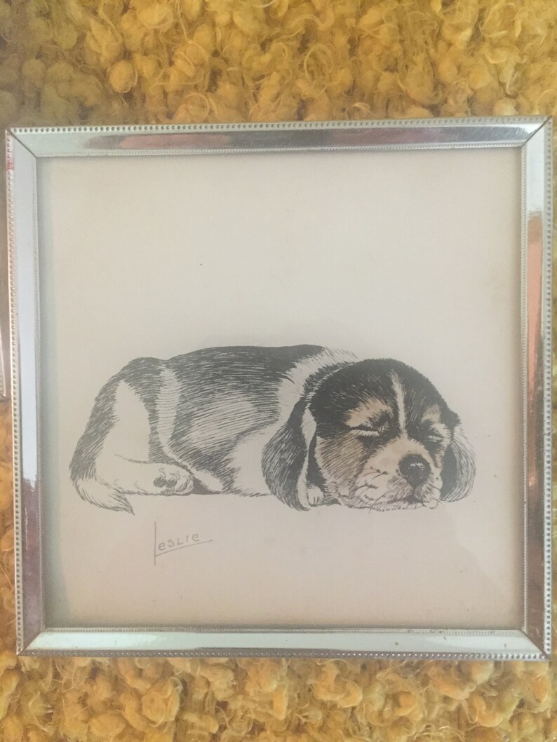 Beagle Pen and Ink Drawing by Leslie, Two Matching in Frames - Etsy