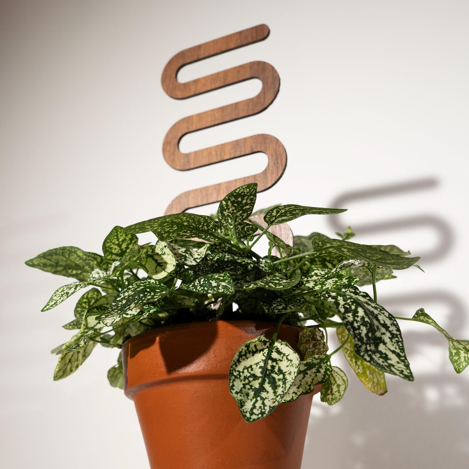 Wavy Plant Stake | Made by JA Studio - Etsy