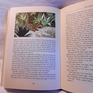 THE YEARLING Book Marjorie Kinnan RAWLINGS Classic Boy & Orphan Fawn ...