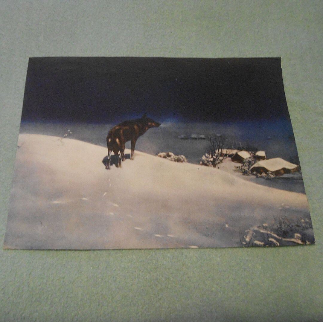 Original 1920s LONE WOLF Iconic LITHO Print Snowy Hill - Etsy