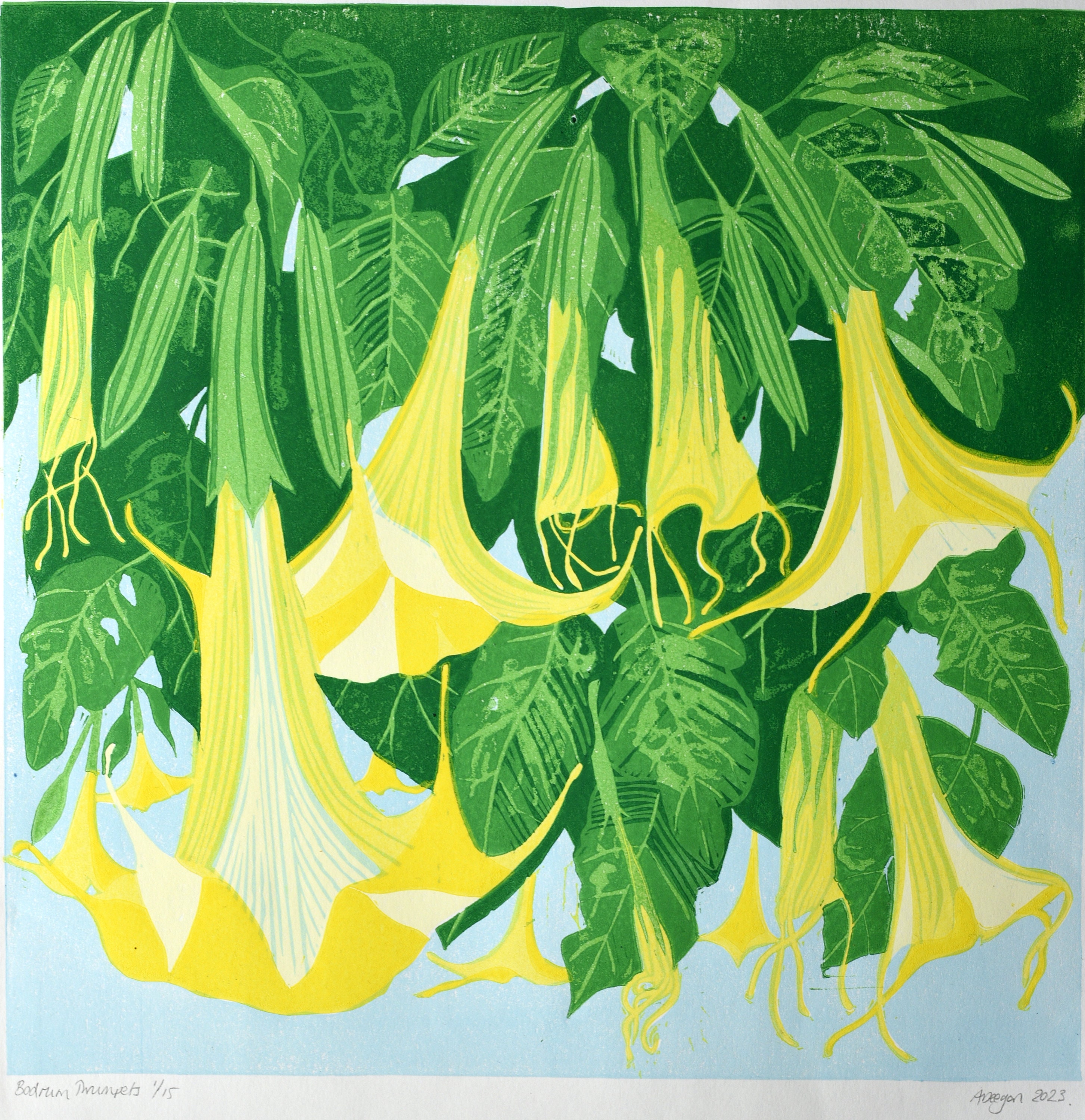 Bodrum Trumpets, Original Lino Cut, Print of Large Yellow Blooms ...