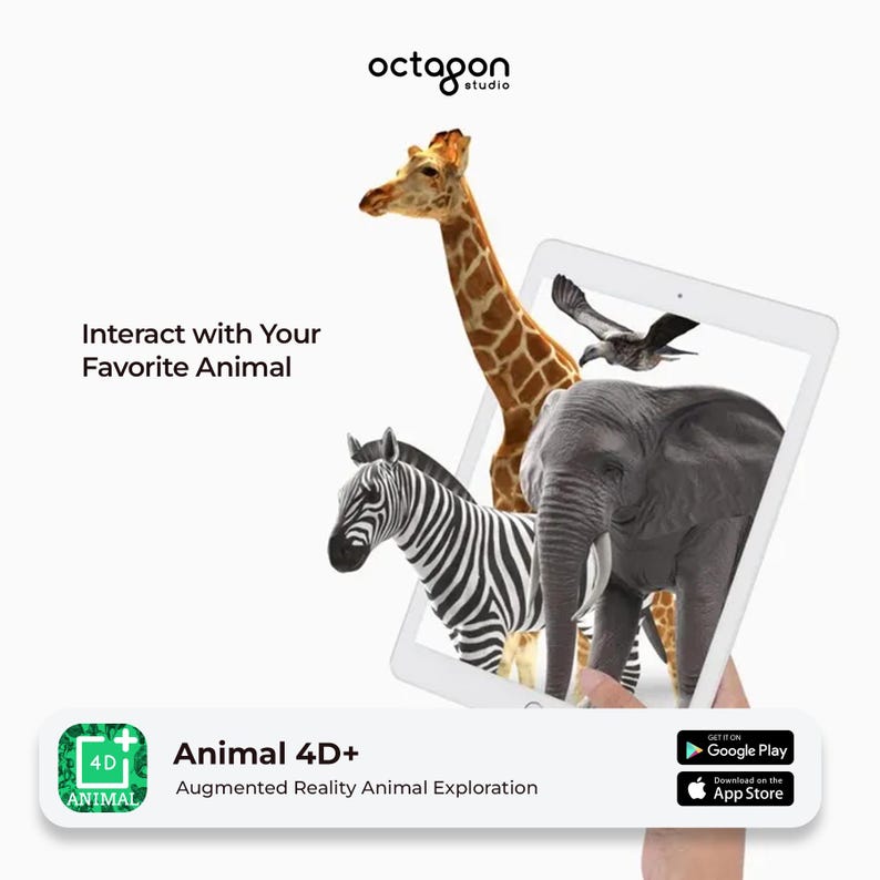 Animal 4D+ AR Flashcards: Alphabet Learning Cards, Educational Gift - Etsy