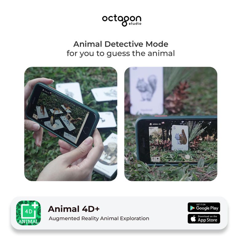 Animal 4D+ AR Flashcards: Alphabet Learning Cards, Educational Gift - Etsy
