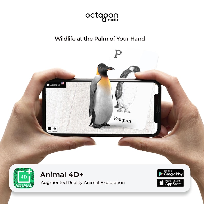 Animal 4D+ AR Flashcards: Alphabet Learning Cards, Educational Gift - Etsy