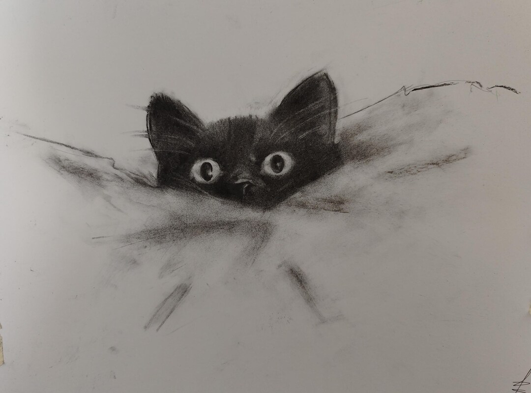 Midnight Peek – Original Charcoal Kitten Drawing”- Equine Fine Art (29 ...