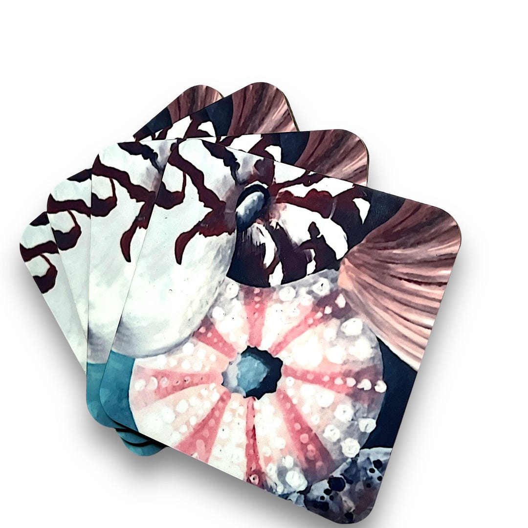 Sea Shells Laminated Cork Backed Coaster Set of 4/shell Lover Gift - Etsy