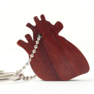 Anatomical Heart Key Chain Wood Anatomy Key Fob Science - Etsy