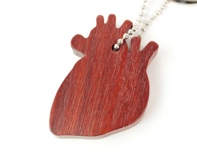 Anatomical Heart Key Chain Wood Anatomy Key Fob Science - Etsy