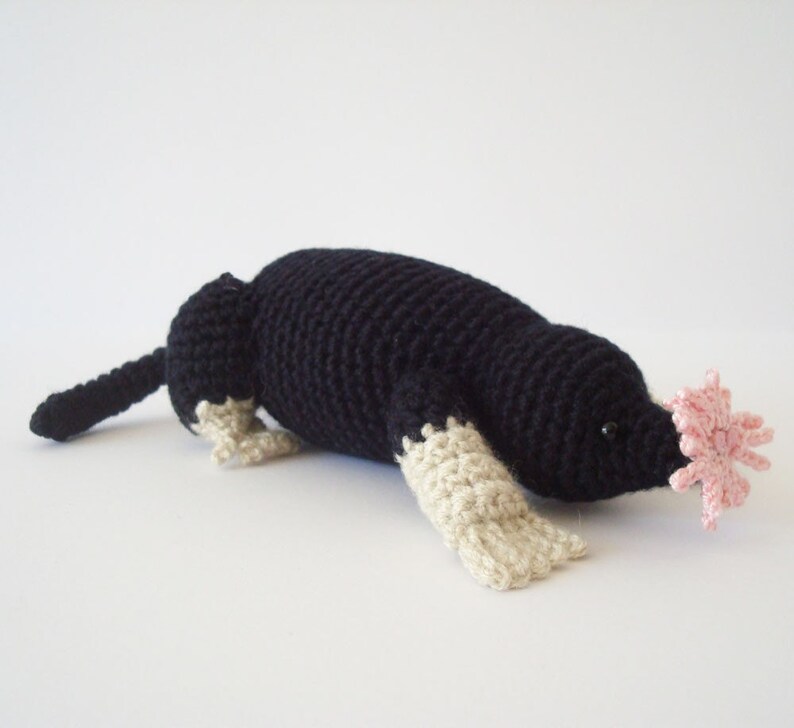 Star Nosed Mole Crochet Pattern Amigurumi Mole Pattern Stuffed - Etsy