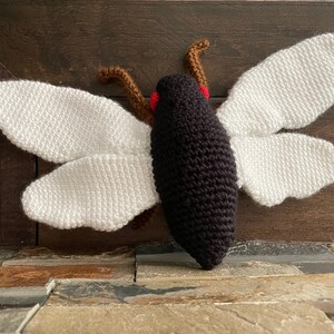 Periodic Cicada Crochet Pattern, Insect Amigurumi Pattern, Brood X ...