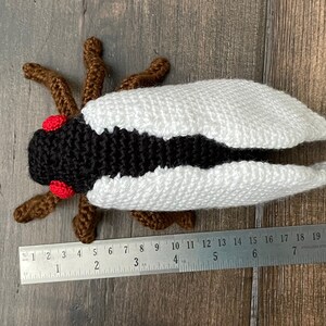 Periodic Cicada Crochet Pattern, Insect Amigurumi Pattern, Brood X ...