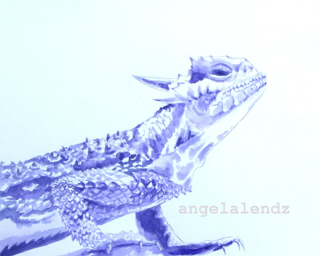 Horned Frog: Print of Original Watercolor Painting TCU Mascot - Etsy