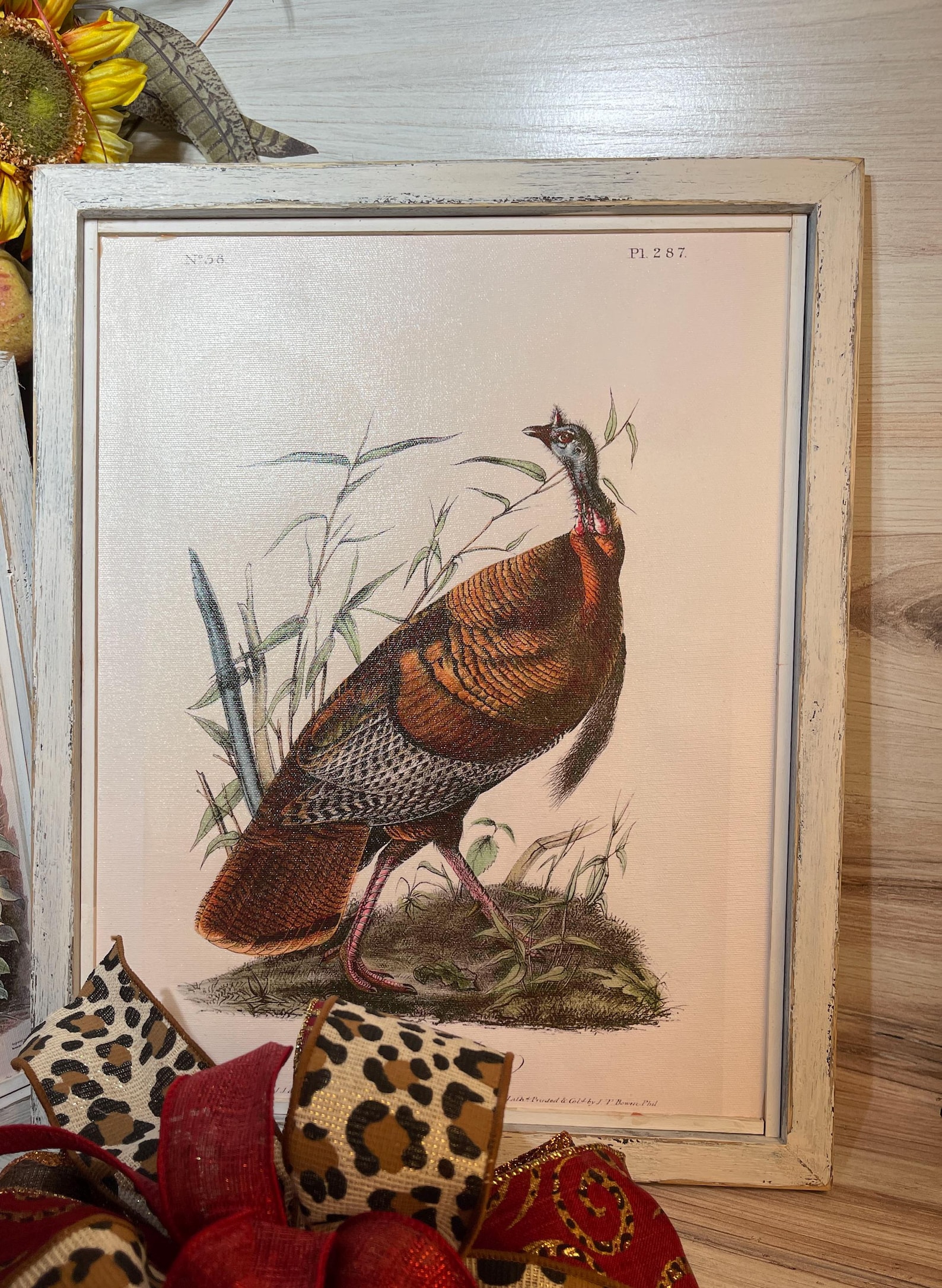 Audubon Wild Turkey Prints, Male Wild Turkey, Female Wild Turkey W ...