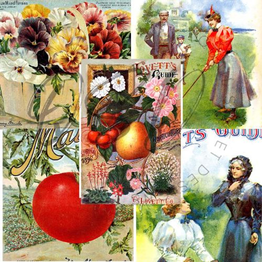 Vintage Seed Catalog Prints, Glossy & Matte Finish, Reproduction ...