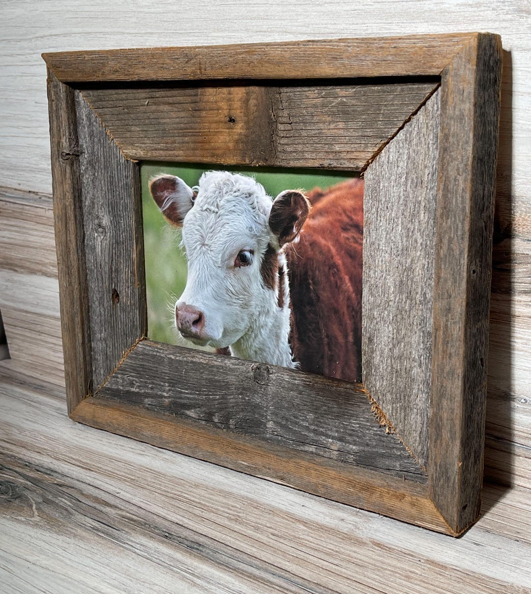 Rustic Cow Print Wall Art, Farmhouse Barnwood Frame, Calf Photo Gift ...