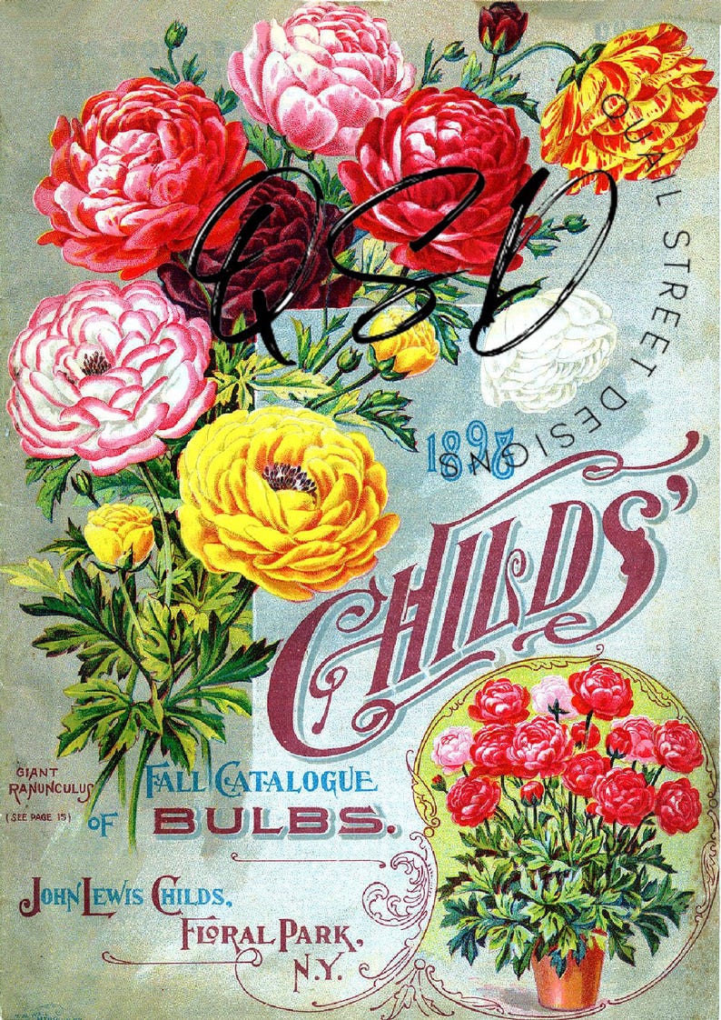 Vintage Seed Catalog Prints, Glossy & Matte Finish, Reproduction ...
