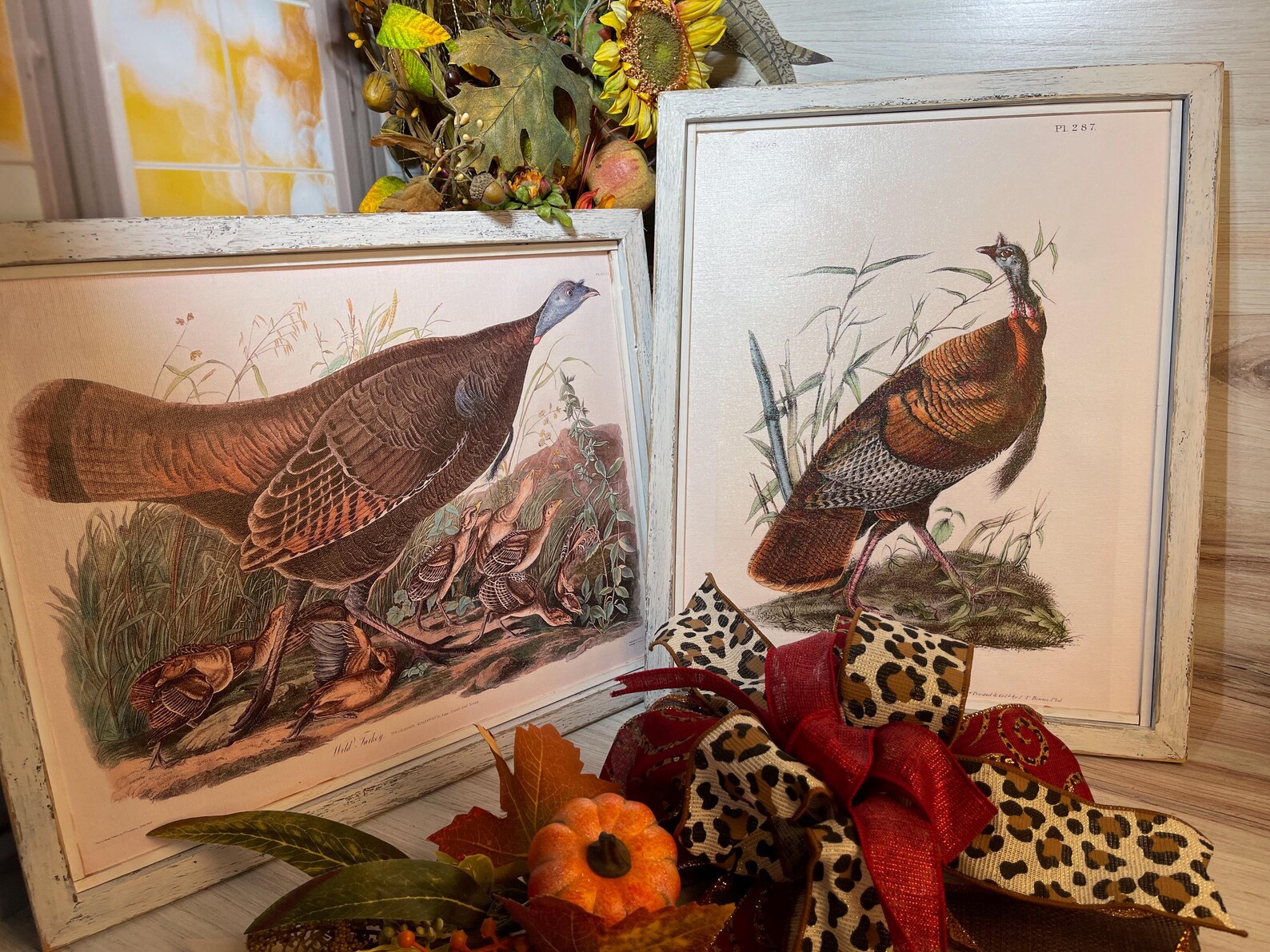 Audubon Wild Turkey Prints, Male Wild Turkey, Female Wild Turkey W ...