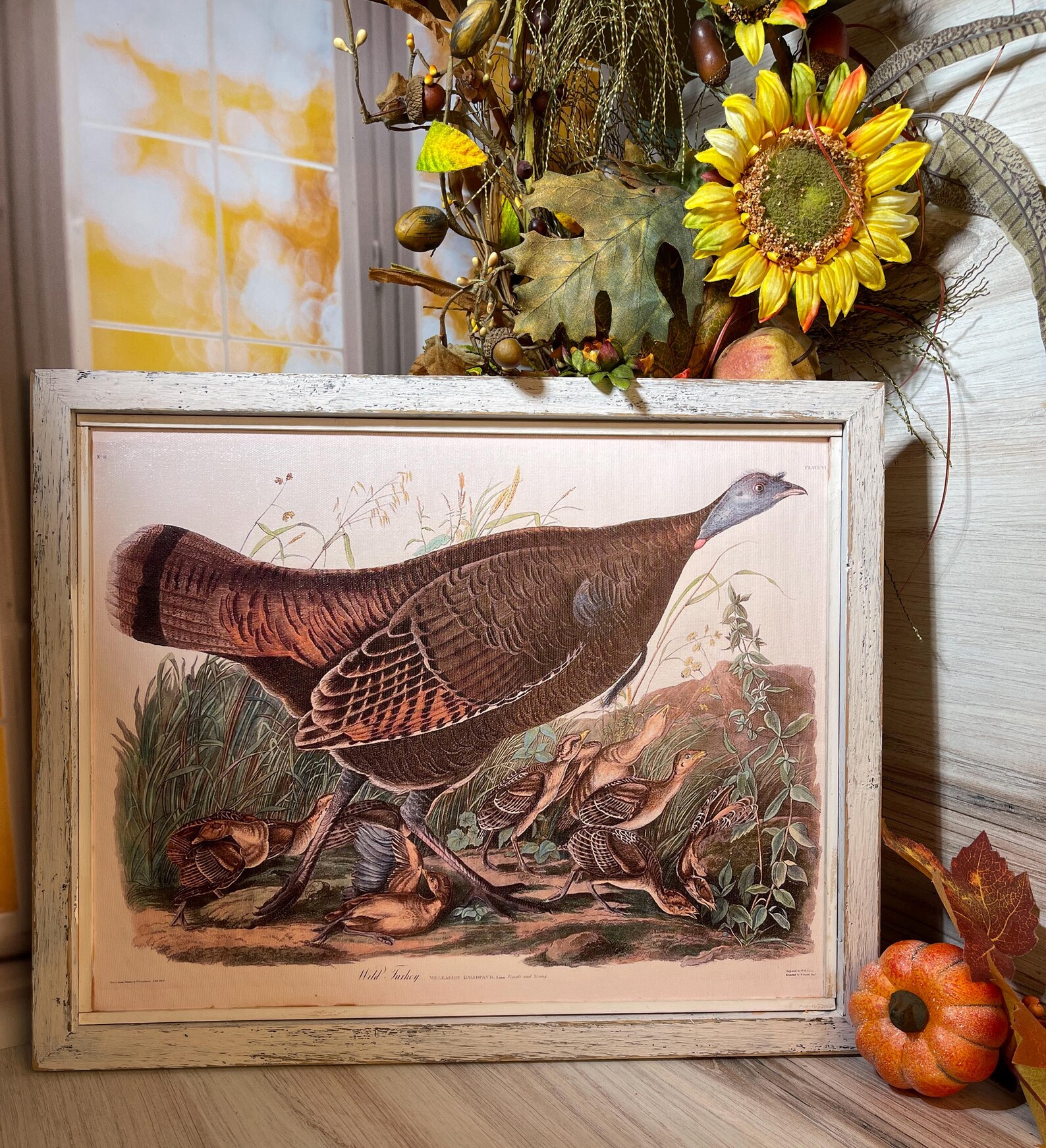 Audubon Wild Turkey Prints, Male Wild Turkey, Female Wild Turkey W ...